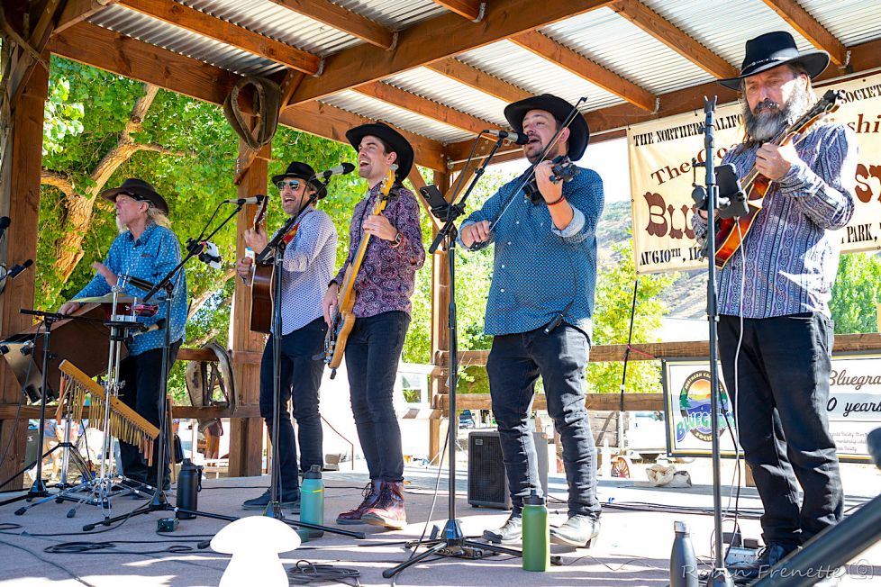 Meet Scott Diehl | Guitarist, Vocalist | The Storytellers Band ...