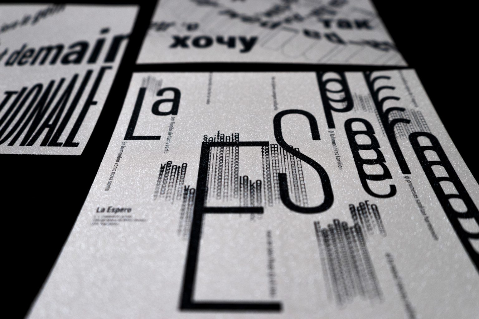 Meet Shuchen Wang | Graphic Designer - SHOUTOUT LA